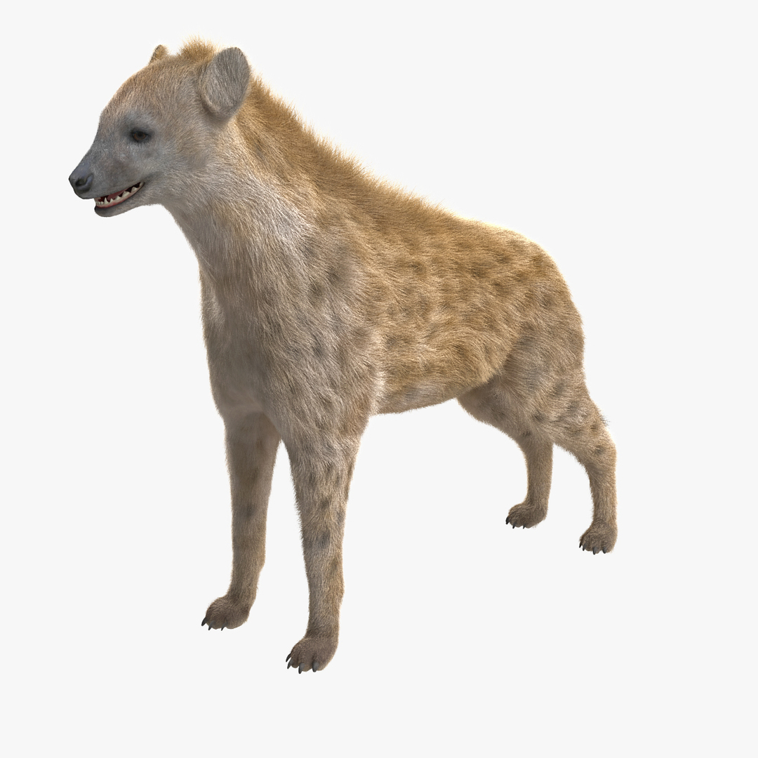hyena fur 3d max