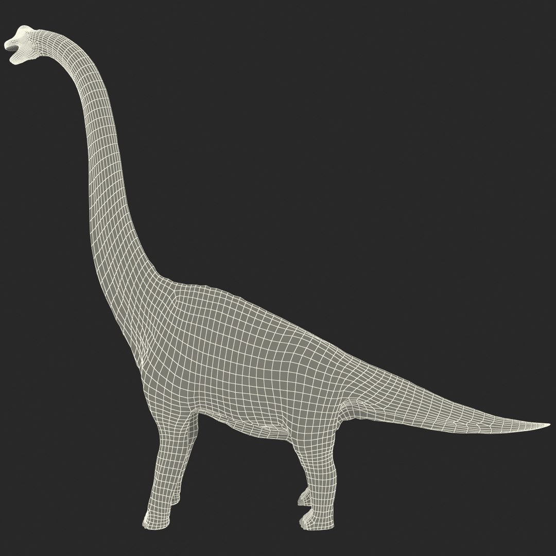 Brachiosaurus 3D Model - TurboSquid 809804