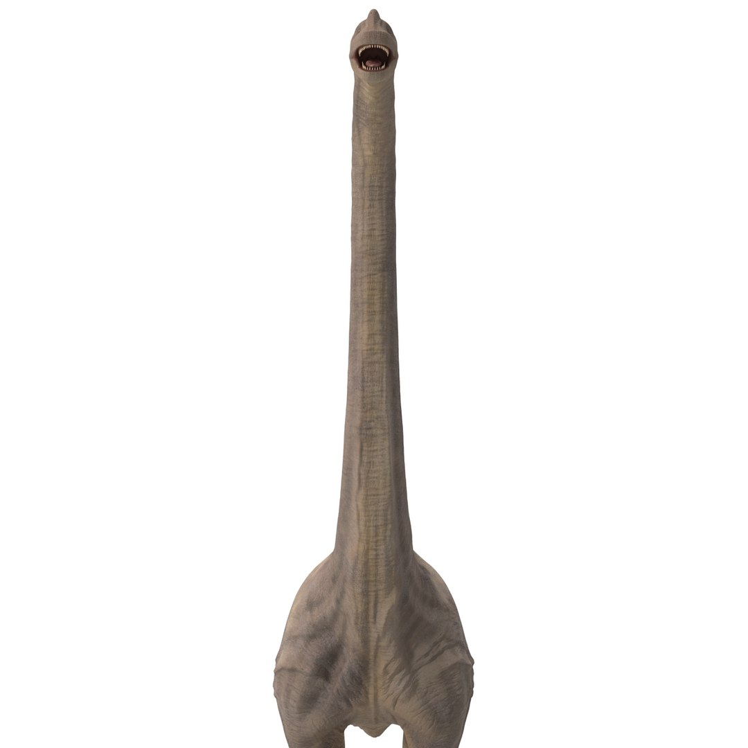 Brachiosaurus 3D Model - TurboSquid 809804