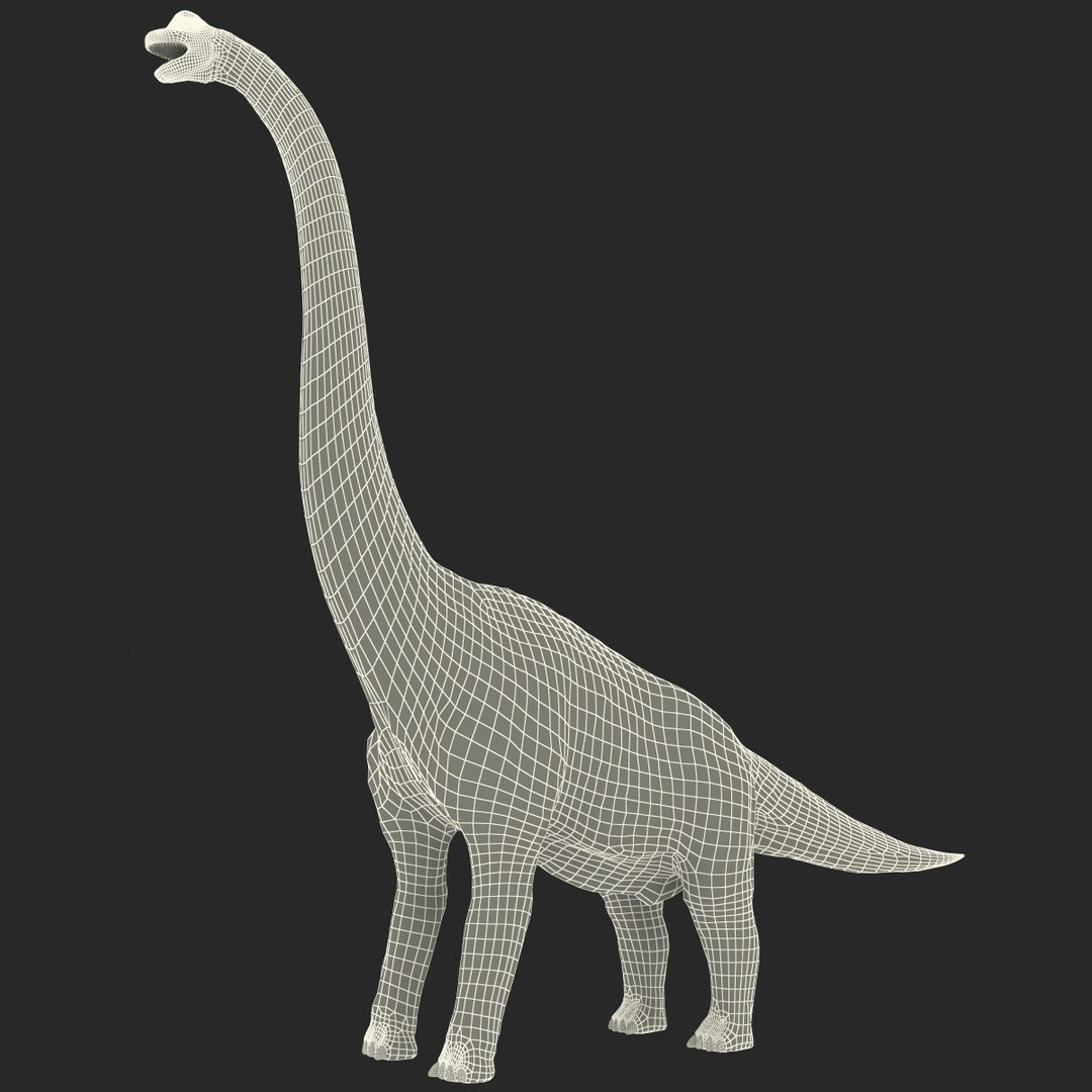 Brachiosaurus 3D Model - TurboSquid 809804