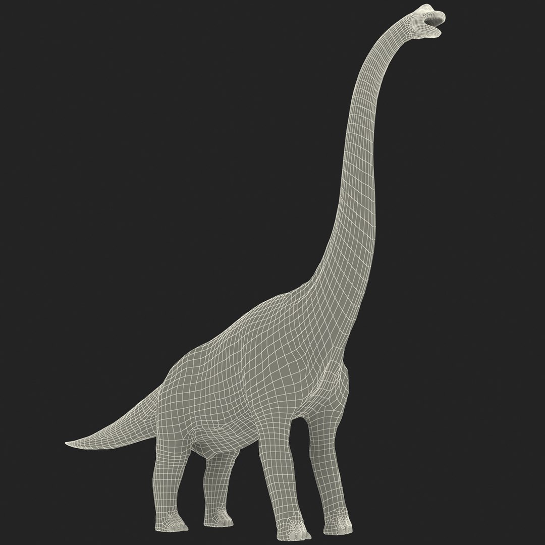Brachiosaurus 3D Model - TurboSquid 809804