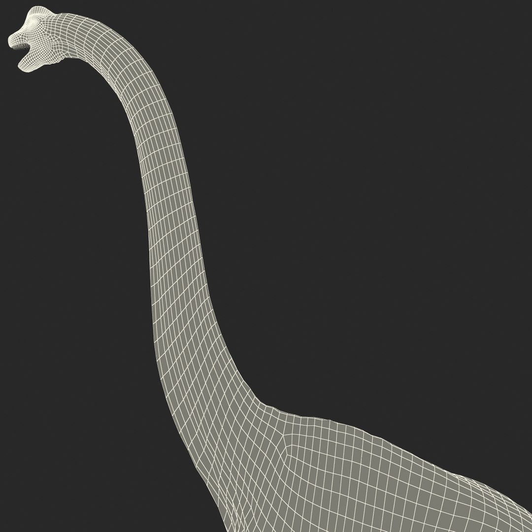 Brachiosaurus 3D Model - TurboSquid 809804