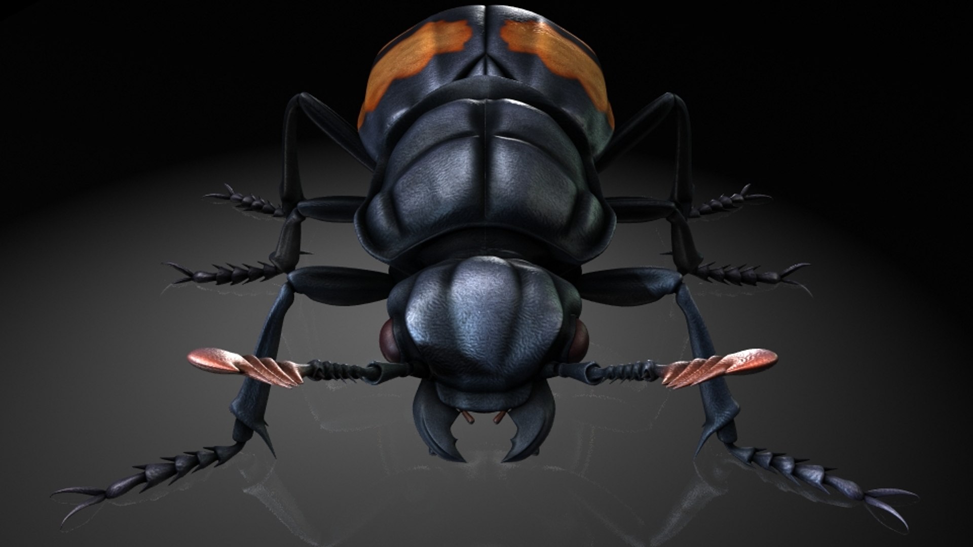 3D Burying Beetles Hammer - TurboSquid 1319718