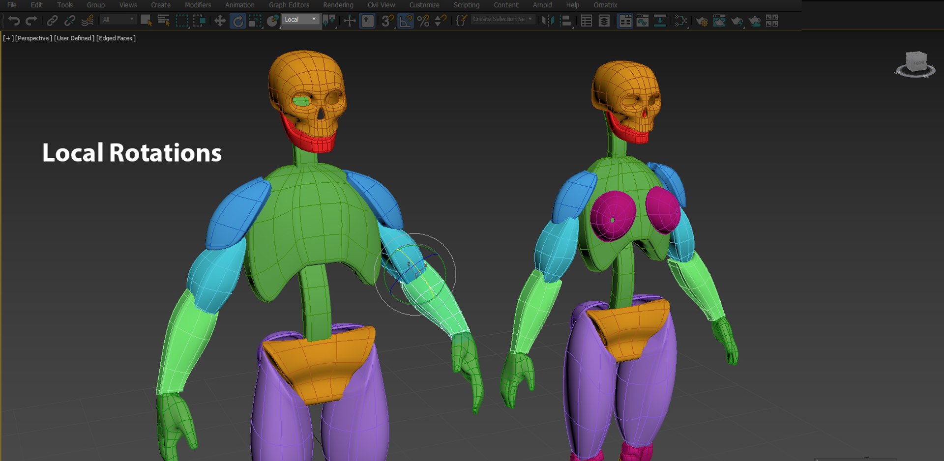 3D Reference Anatomy Muscles Artist - TurboSquid 1347940