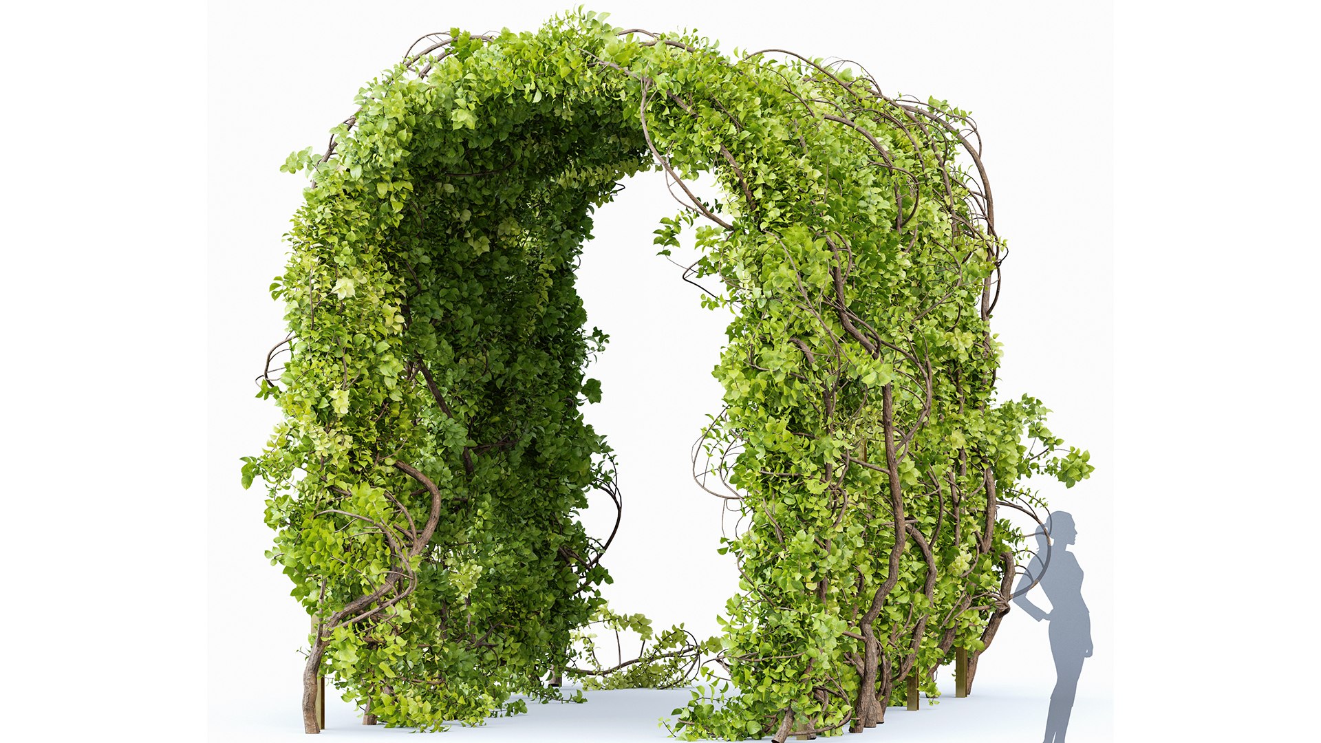 Magical Tree Tunnel Was Carved Out Model - TurboSquid 2246992