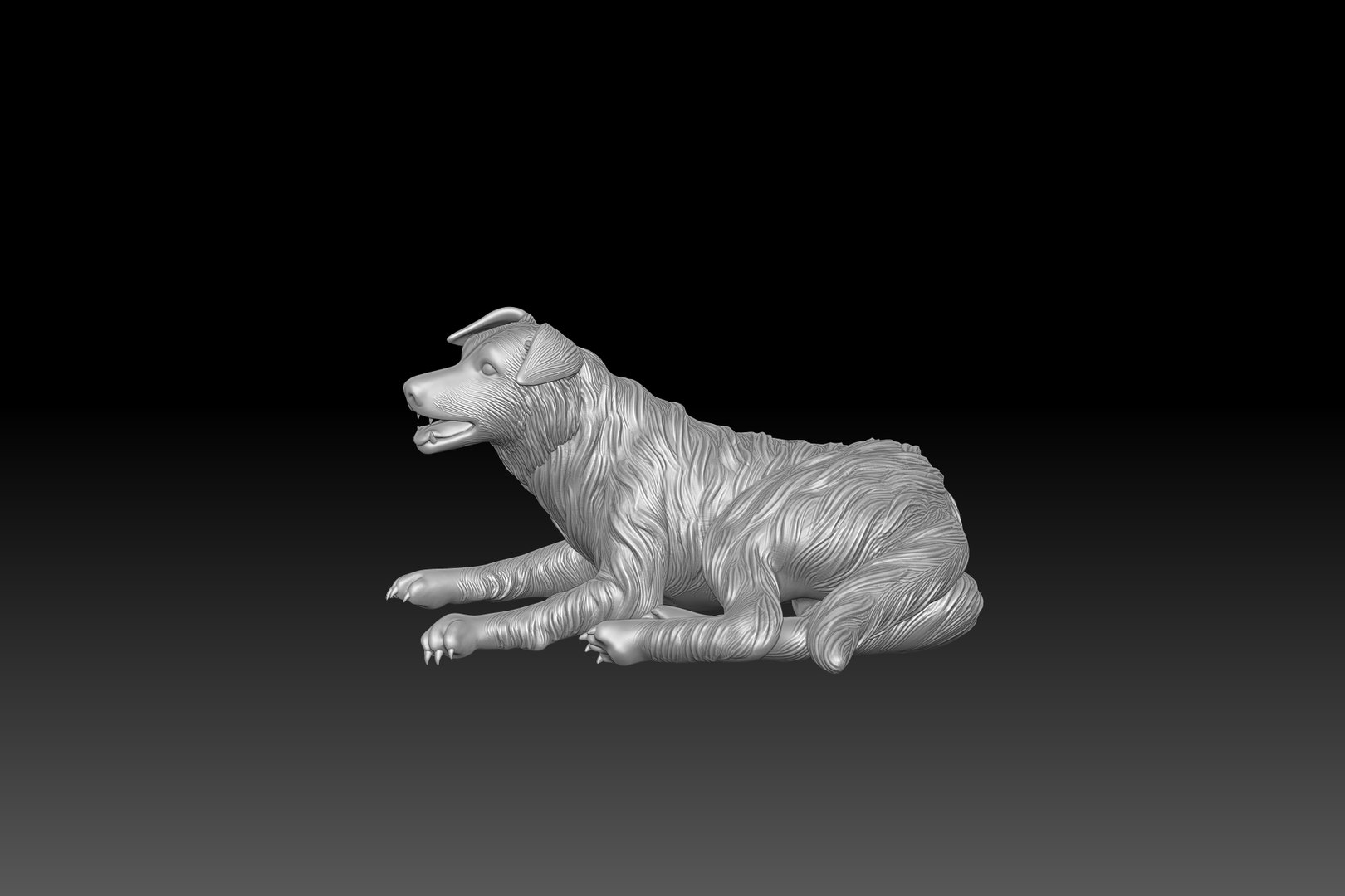 Border Collie Dog 3D Printable Digital Model 3D Model - TurboSquid 2407668