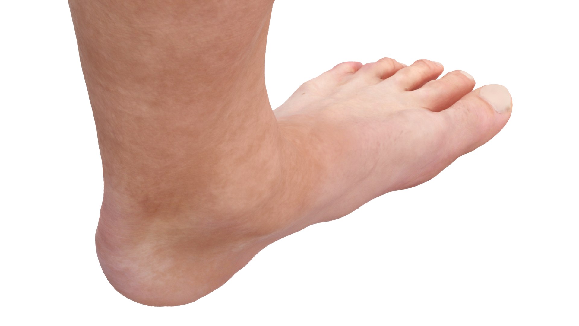 Realistic Leg Anatomy Male 3D model - TurboSquid 2168207