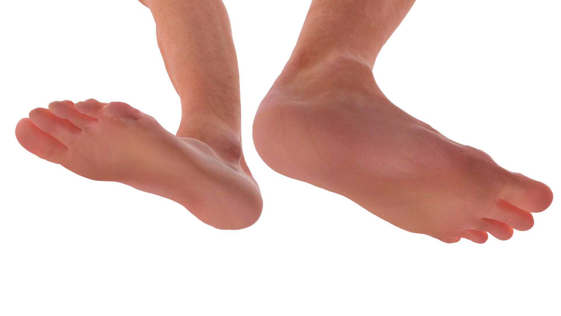 Realistic Leg Anatomy Male 3D model - TurboSquid 2168207