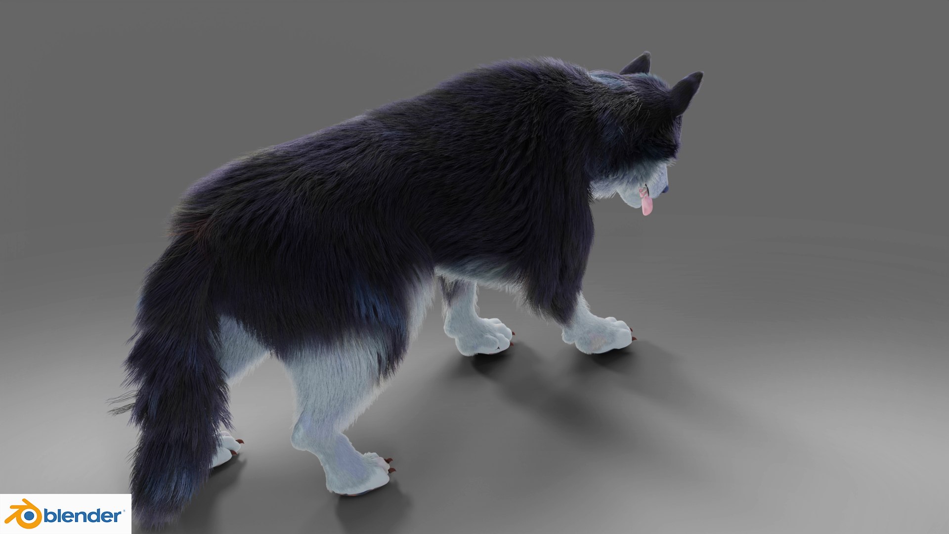 Fur Gray Wolf Rigged V01 In Blender 3D Model - TurboSquid 1988176