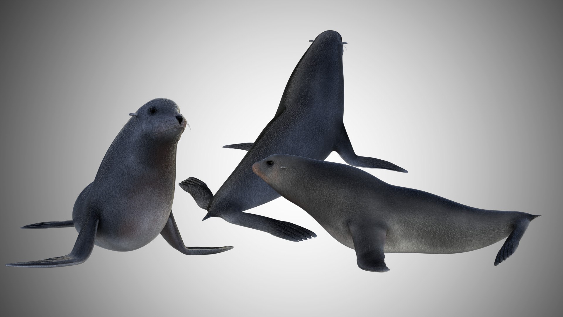 3D Rigged Rendering Model - TurboSquid 1587844