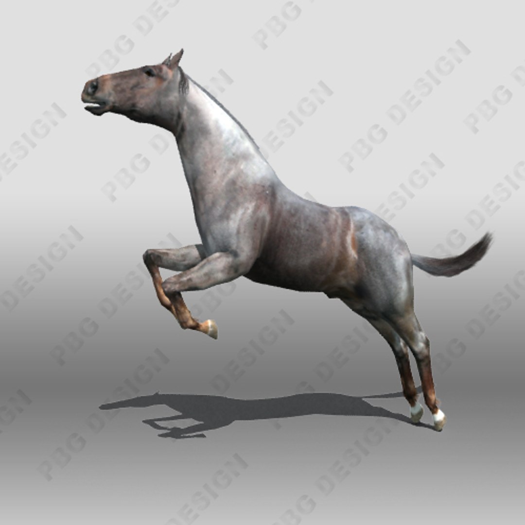 horse animations max