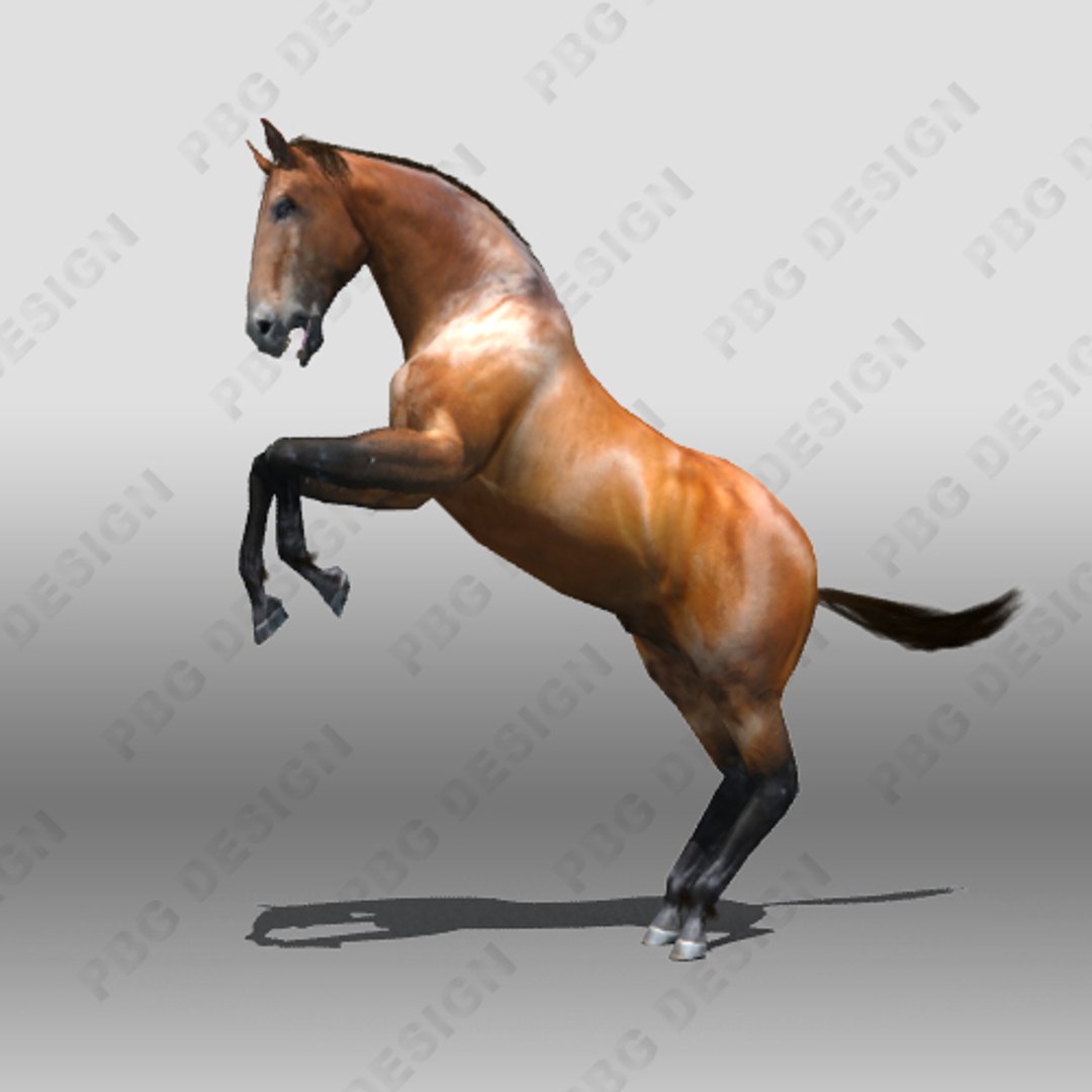 horse animations max