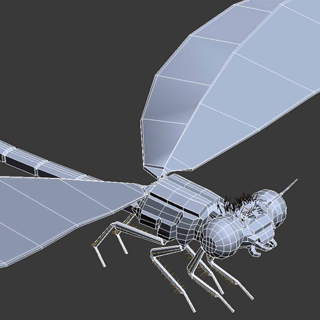 Max Realistic Dragonfly