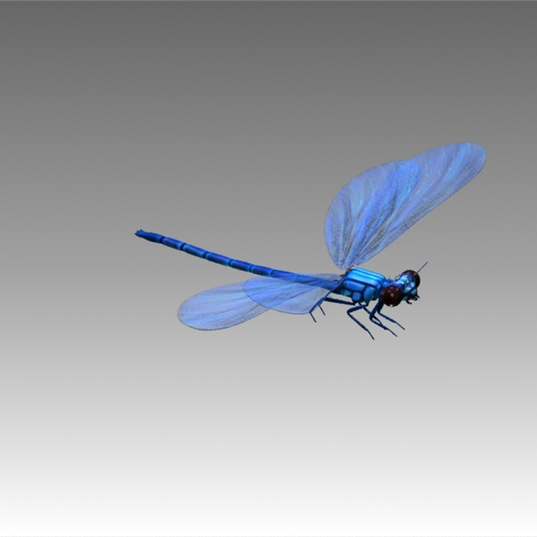 Max Realistic Dragonfly