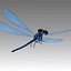 Max Realistic Dragonfly