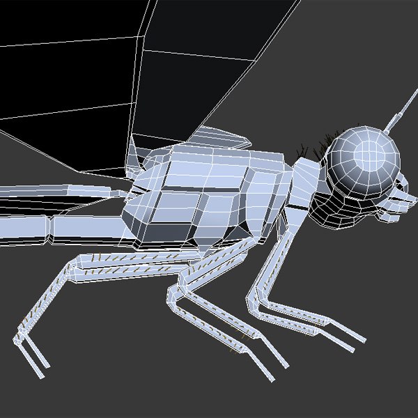 max realistic dragonfly
