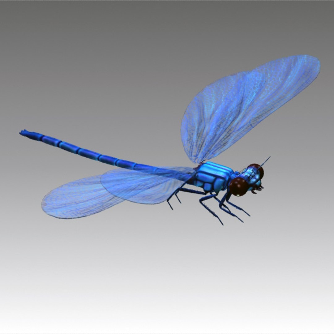 Max Realistic Dragonfly