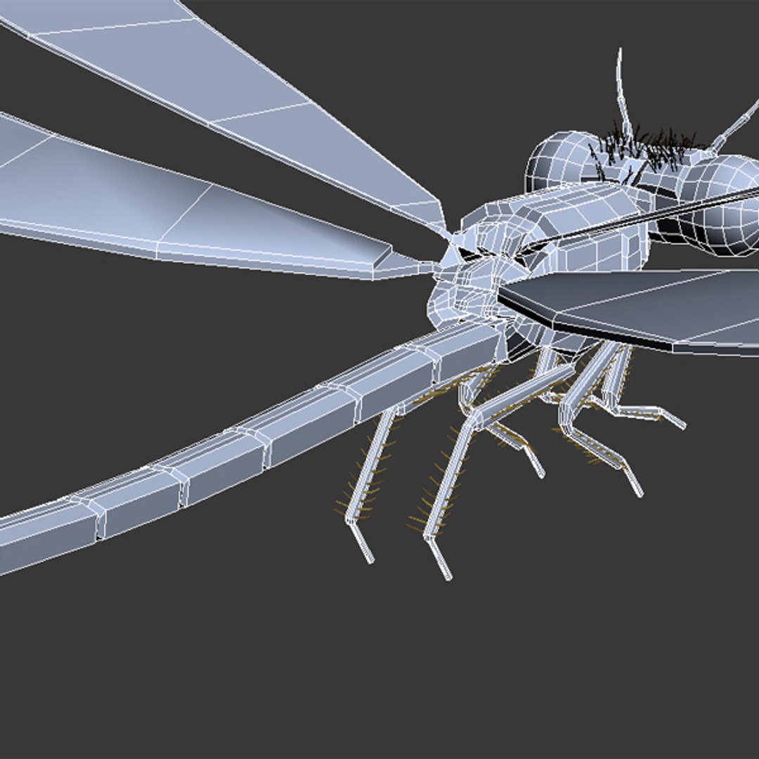 Max Realistic Dragonfly