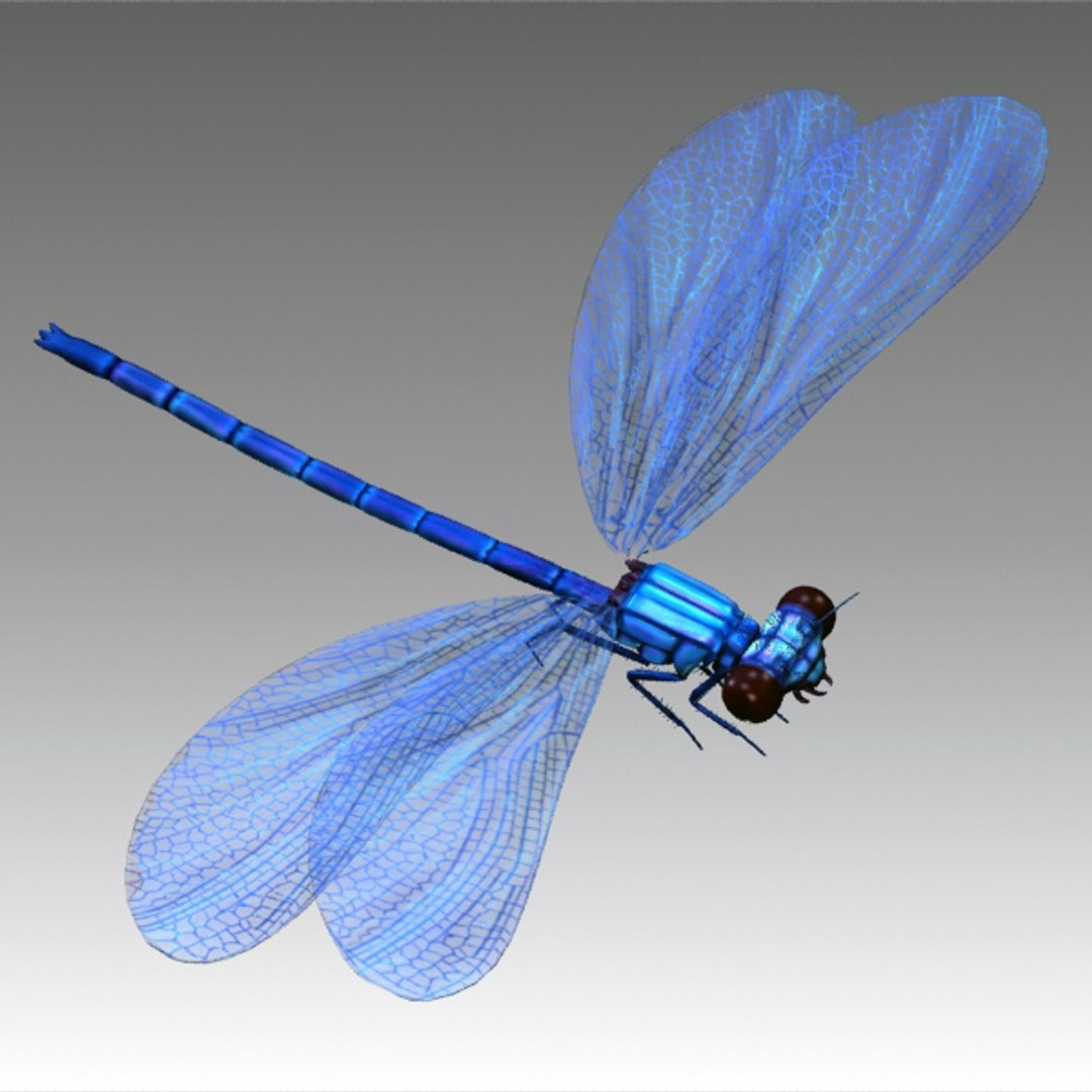 Max Realistic Dragonfly