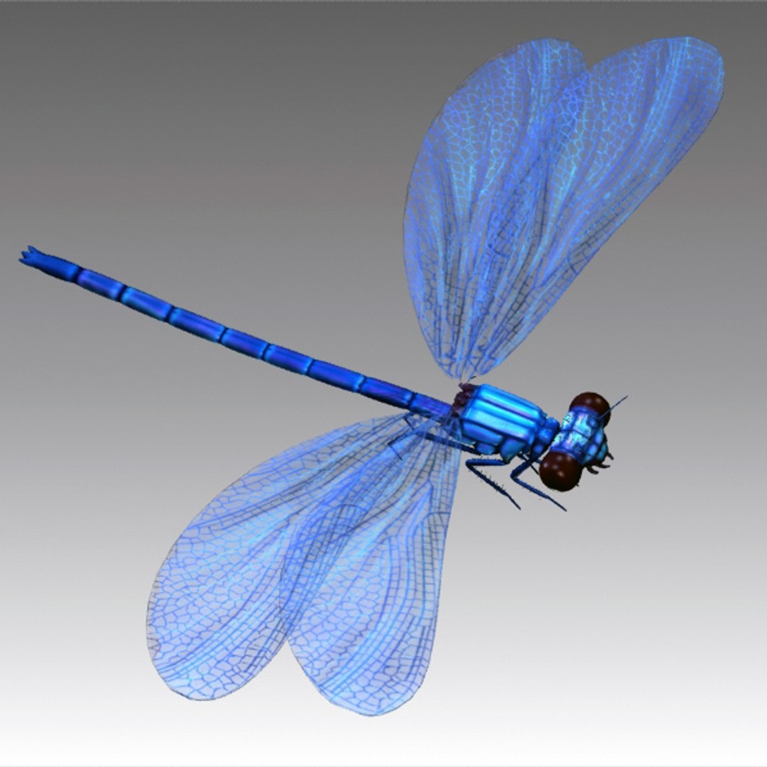 Max Realistic Dragonfly