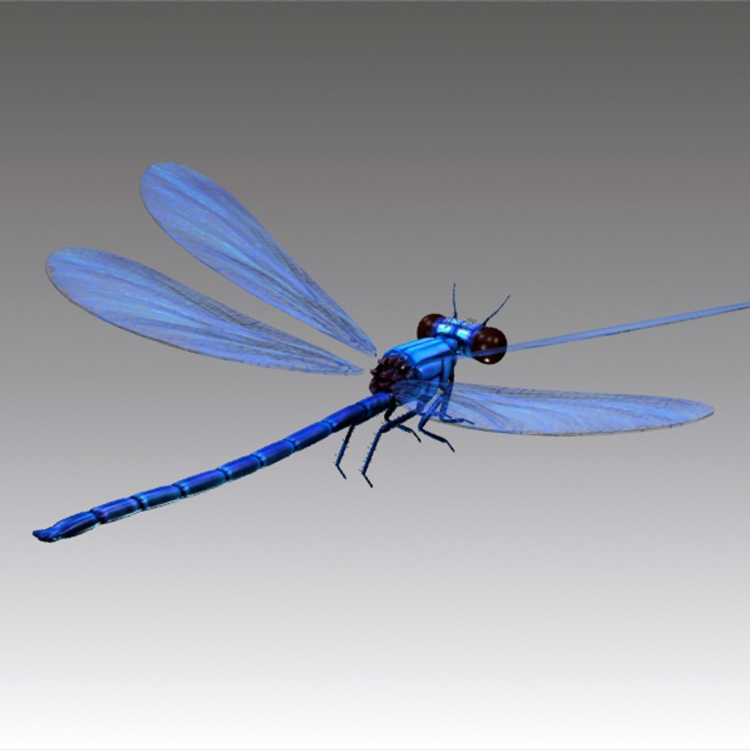 Max Realistic Dragonfly
