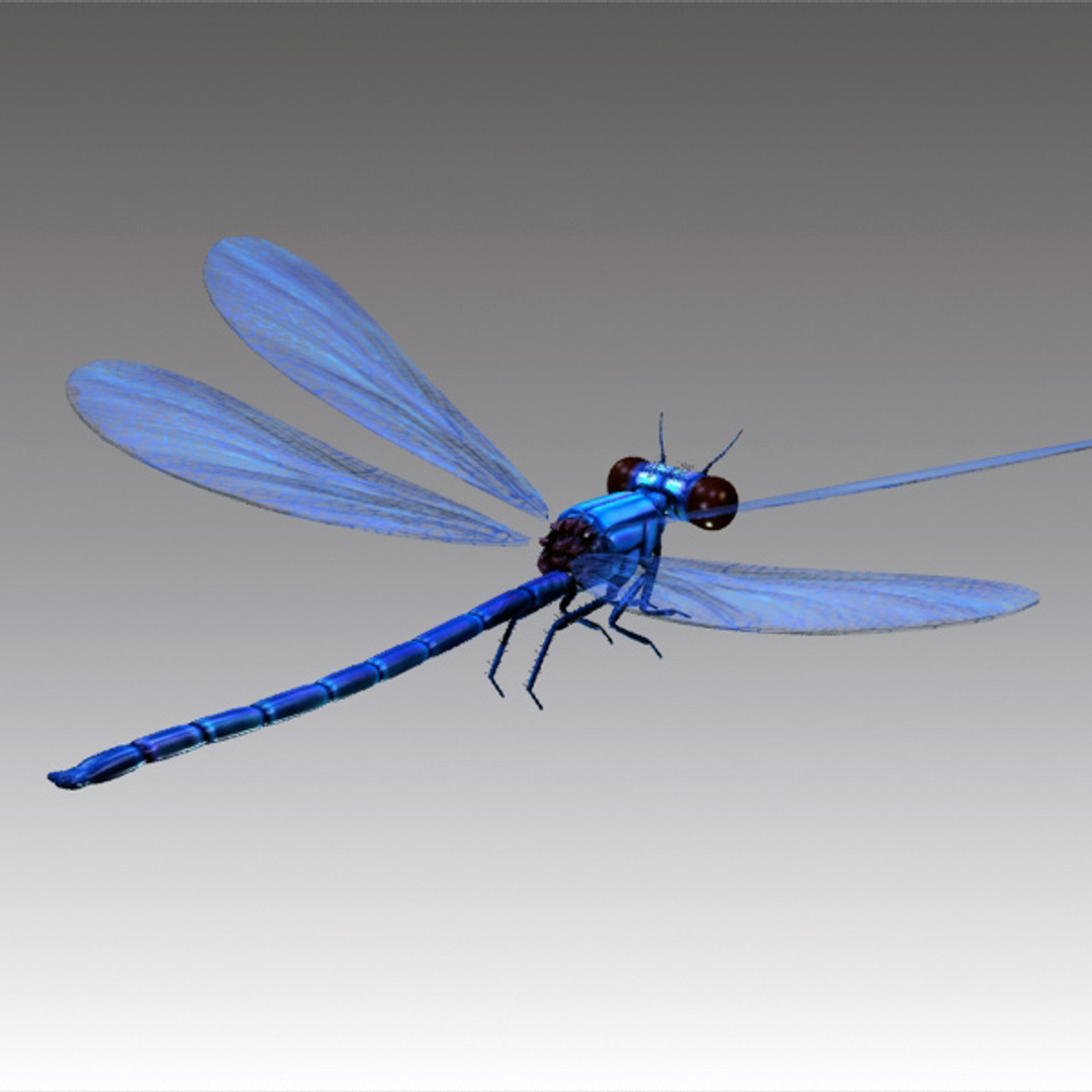max realistic dragonfly