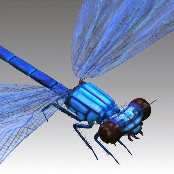 max realistic dragonfly