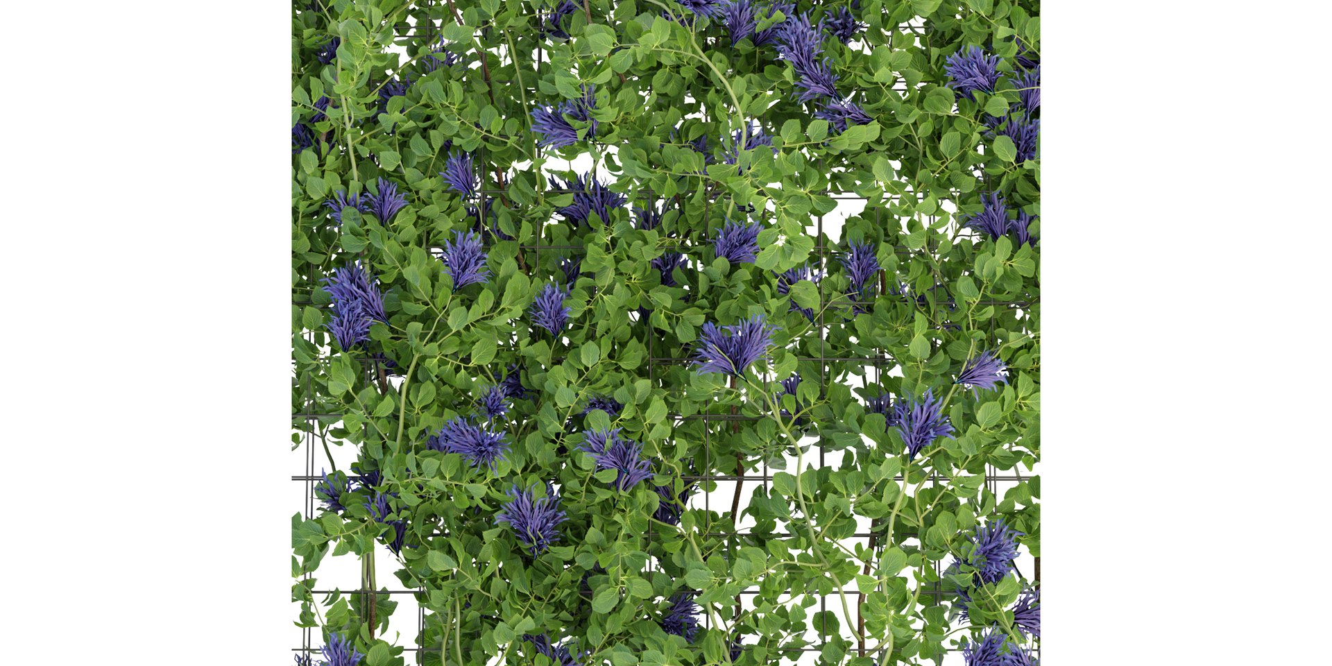 Collection Plant Vol 227 - Blender Model 3D Model - TurboSquid 2087039