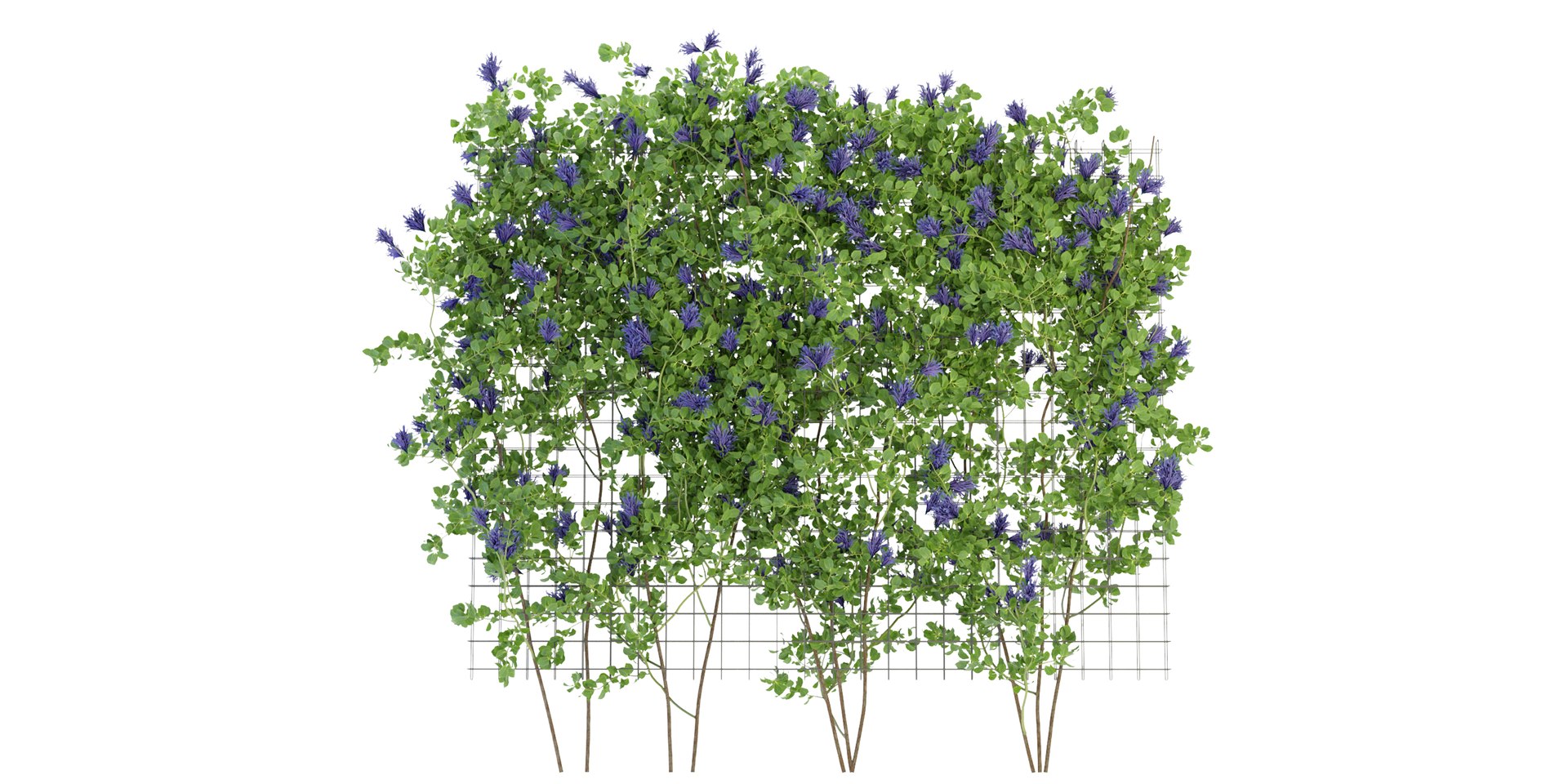 Collection Plant Vol 227 - Blender Model 3D Model - TurboSquid 2087039