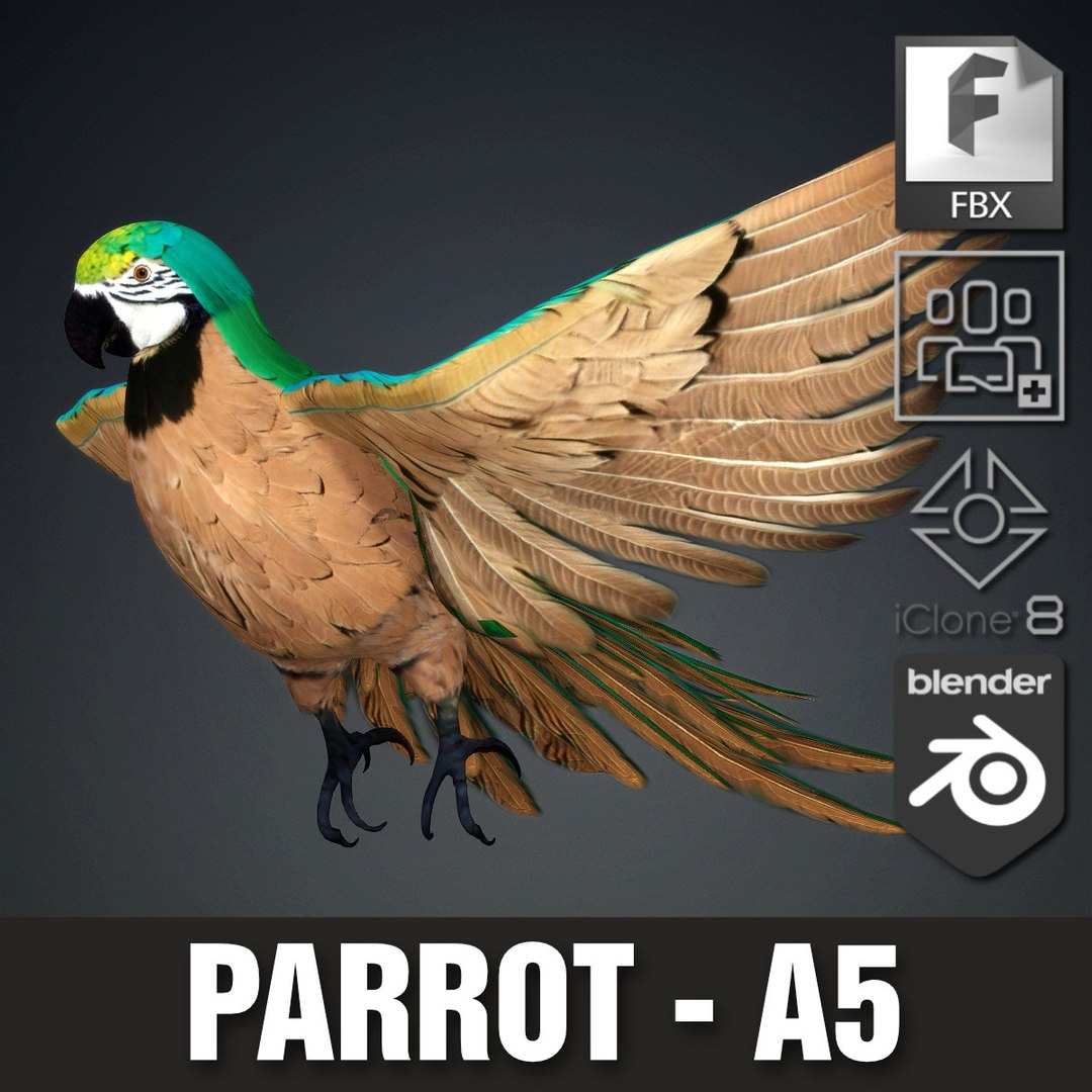 3D Parrot-A5 - TurboSquid 2432635