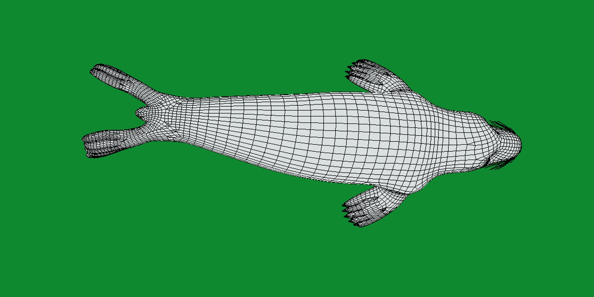 Common Seal 3D Model - TurboSquid 2306542