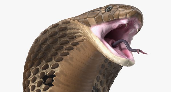 3D model rigged snakes 5 - TurboSquid 1487816