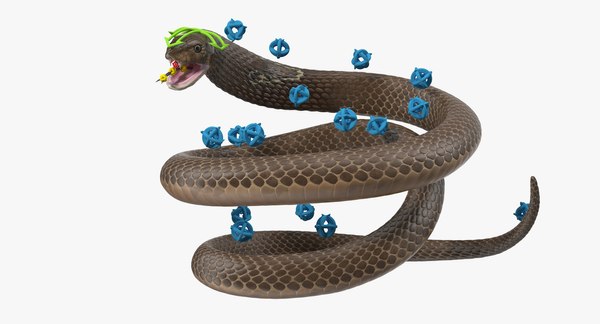 3D model rigged snakes 5 - TurboSquid 1487816