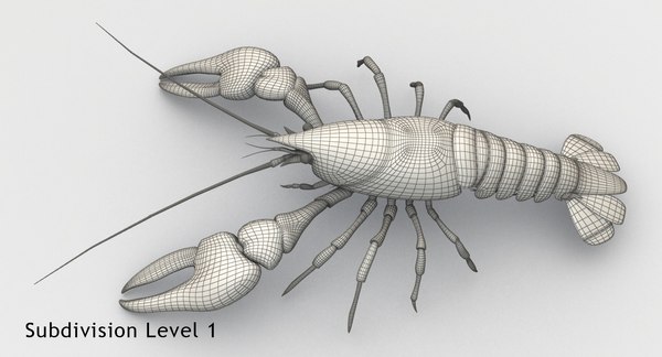 crayfish 3d x