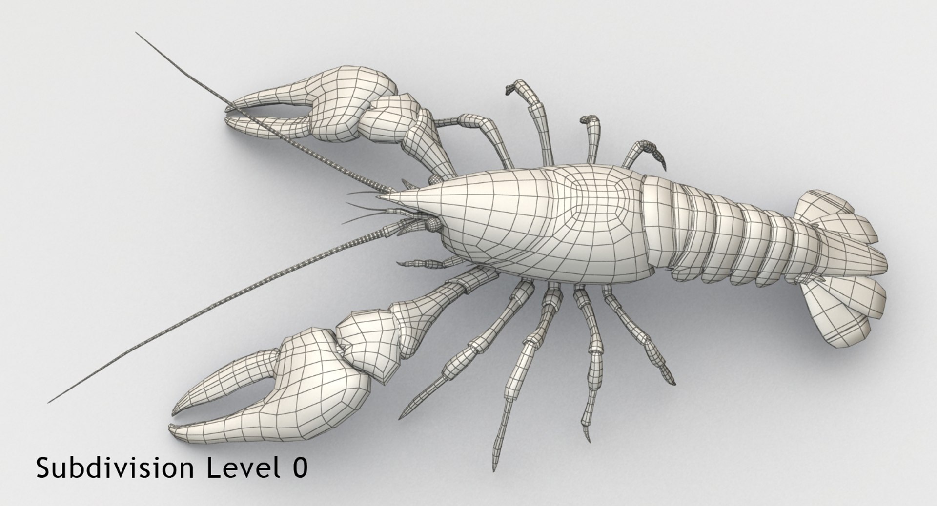 Crayfish 3d X