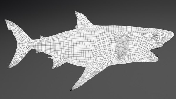 3D MEGALODON - Sea Monster Series 5 - TurboSquid 1796610