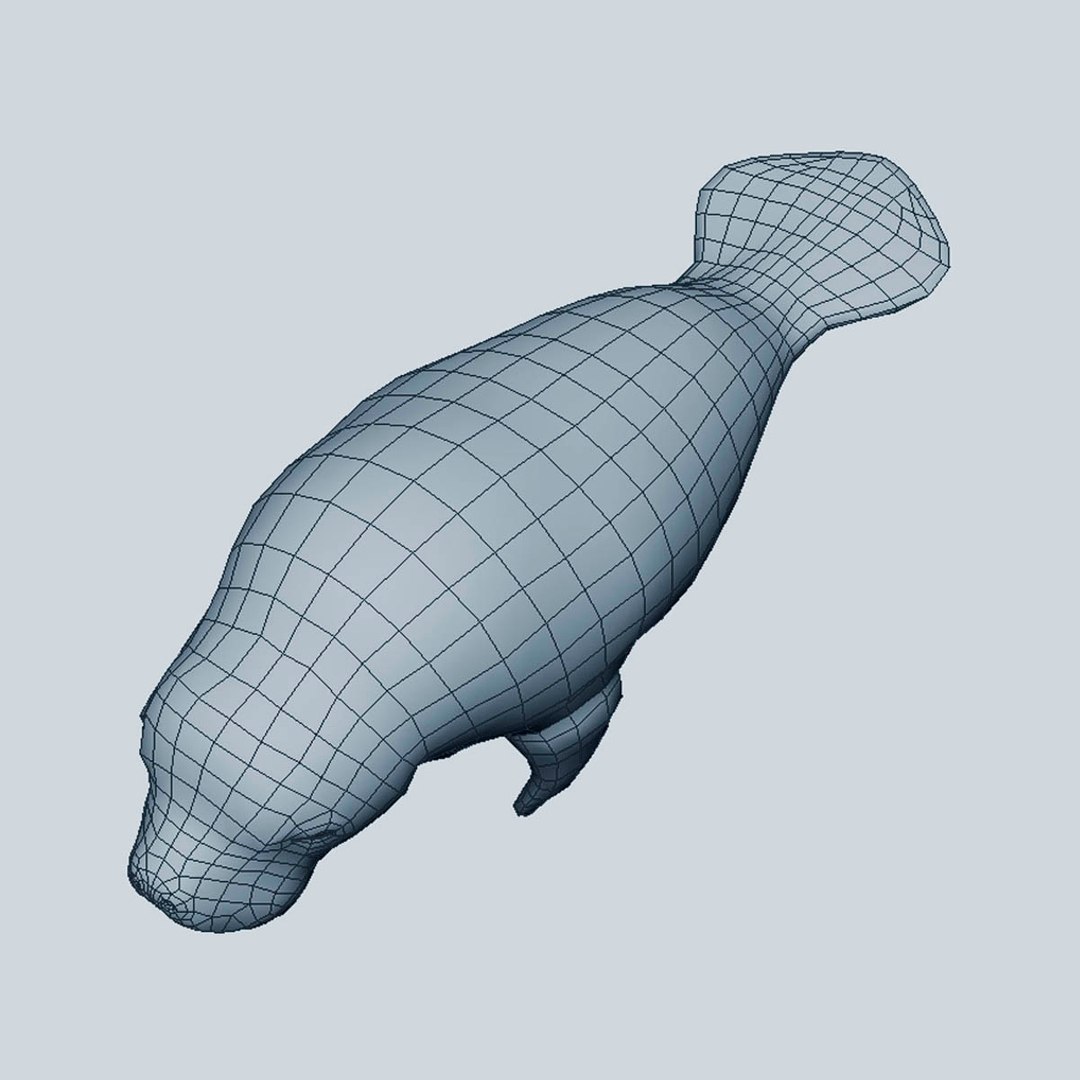 3d Model Manatees