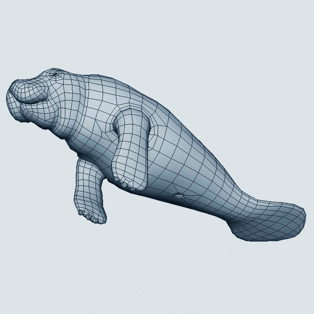 3d model manatees