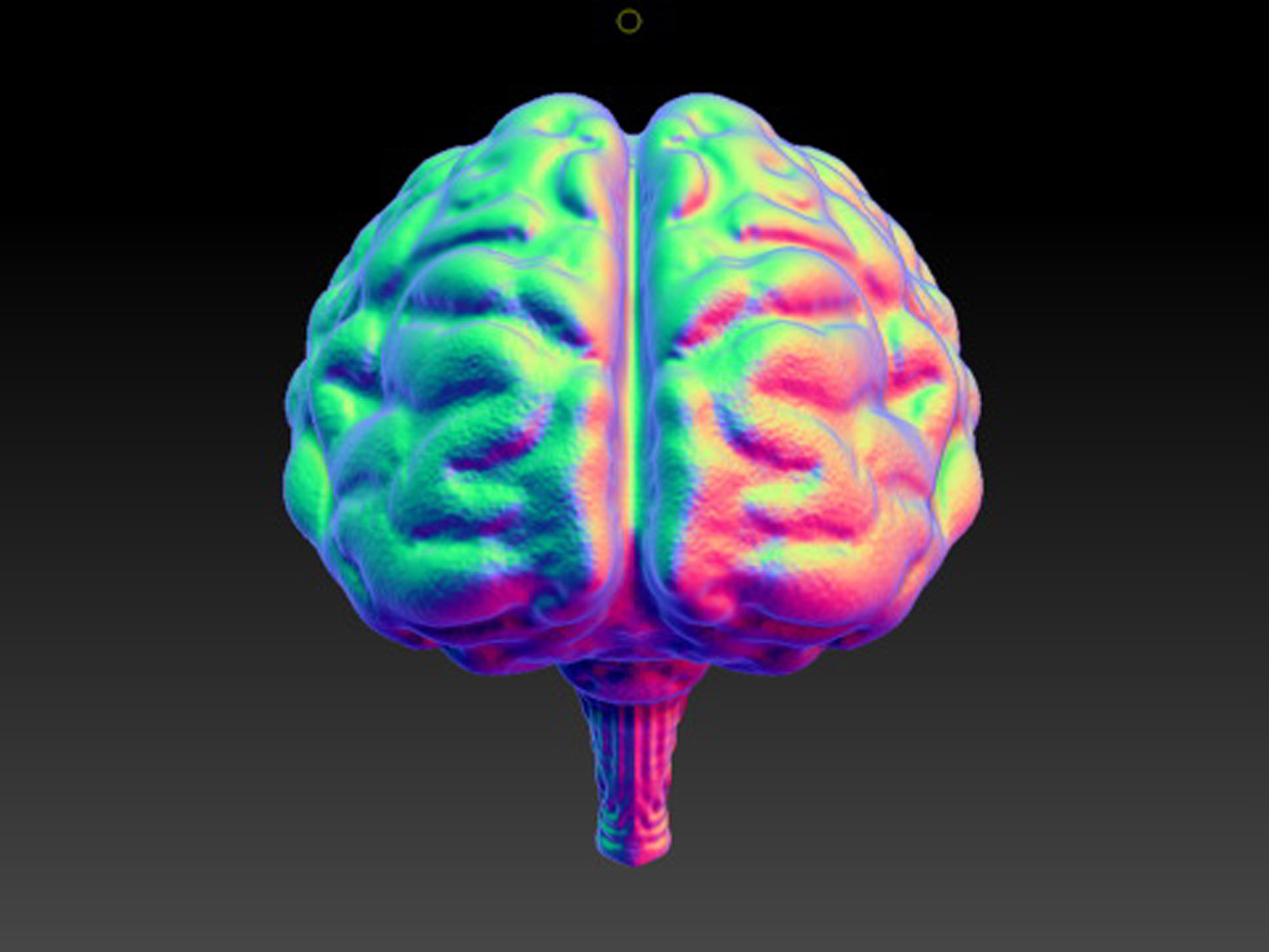 3D brain - TurboSquid 869628