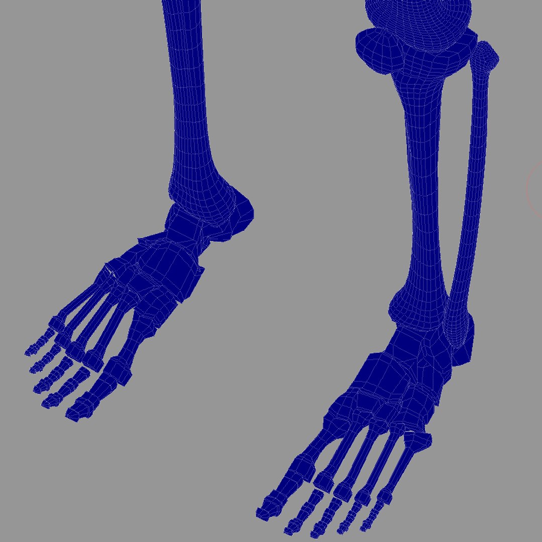 maya human skeleton