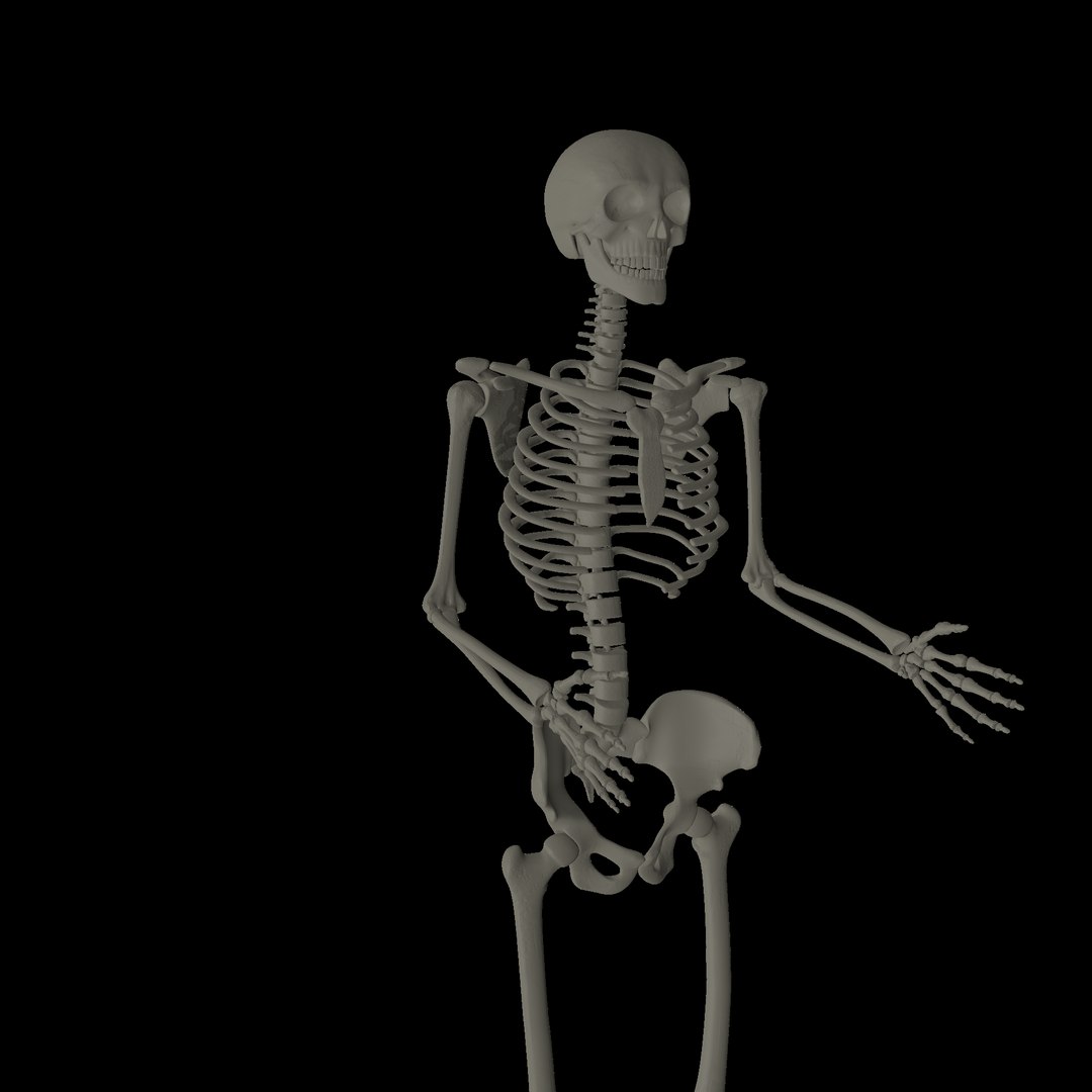 maya human skeleton