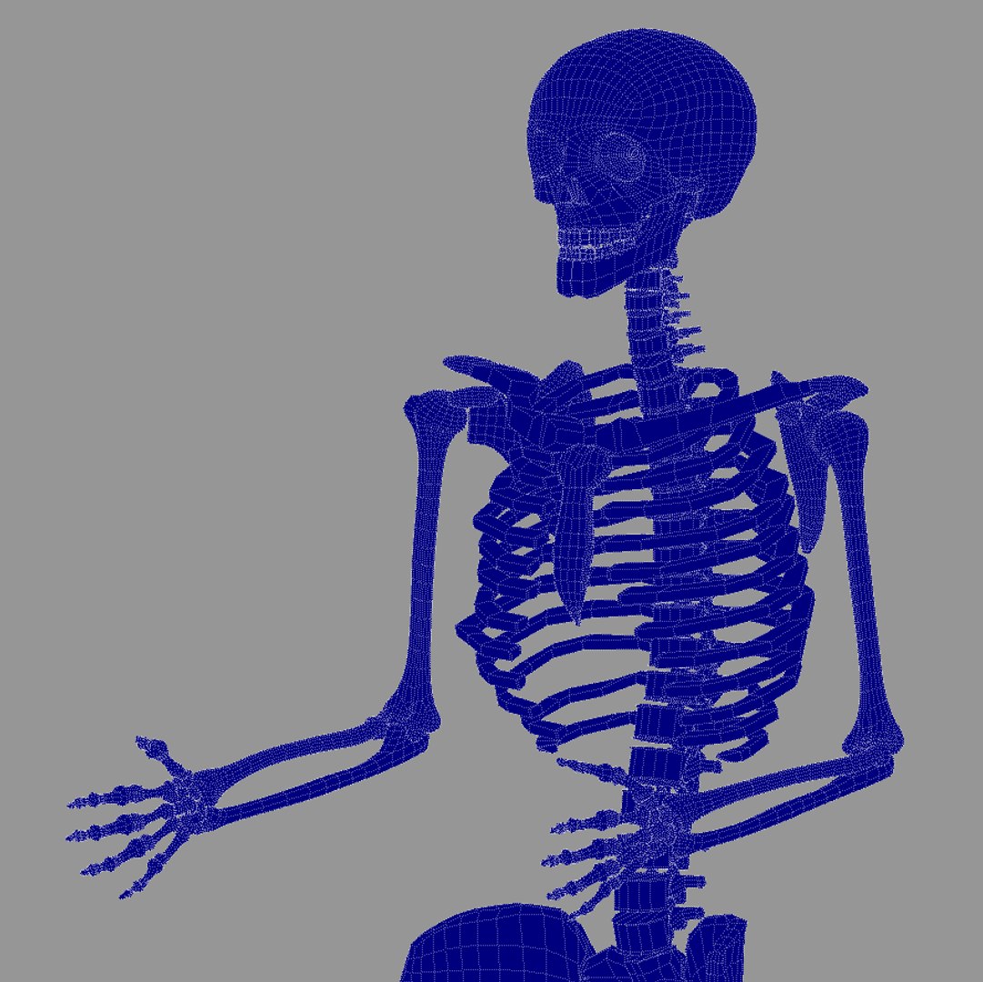 maya human skeleton