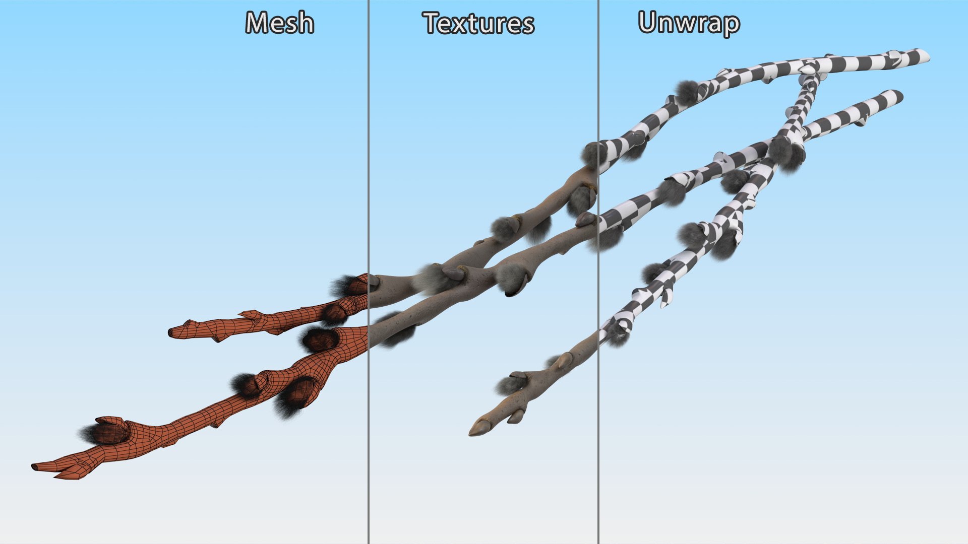 Willow Branches Dry Fur 3D Model - TurboSquid 2398767