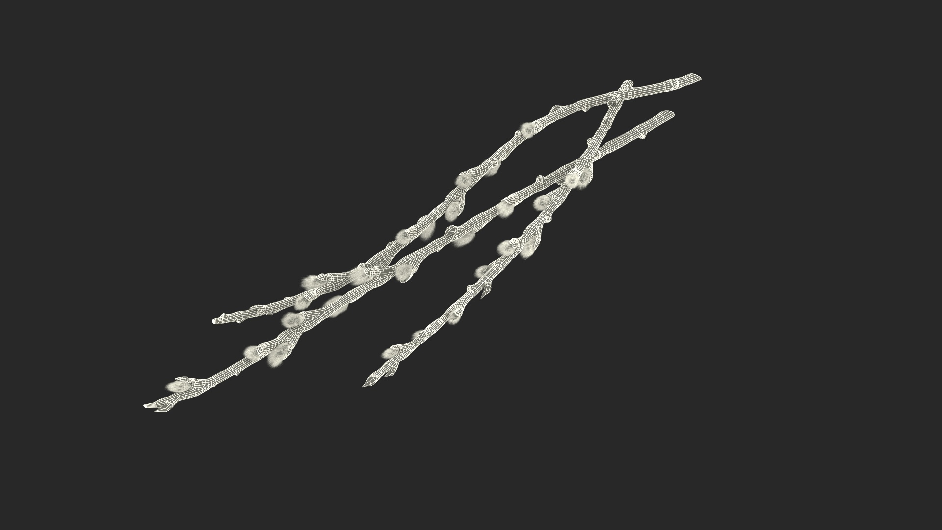 Willow Branches Dry Fur 3D Model - TurboSquid 2398767