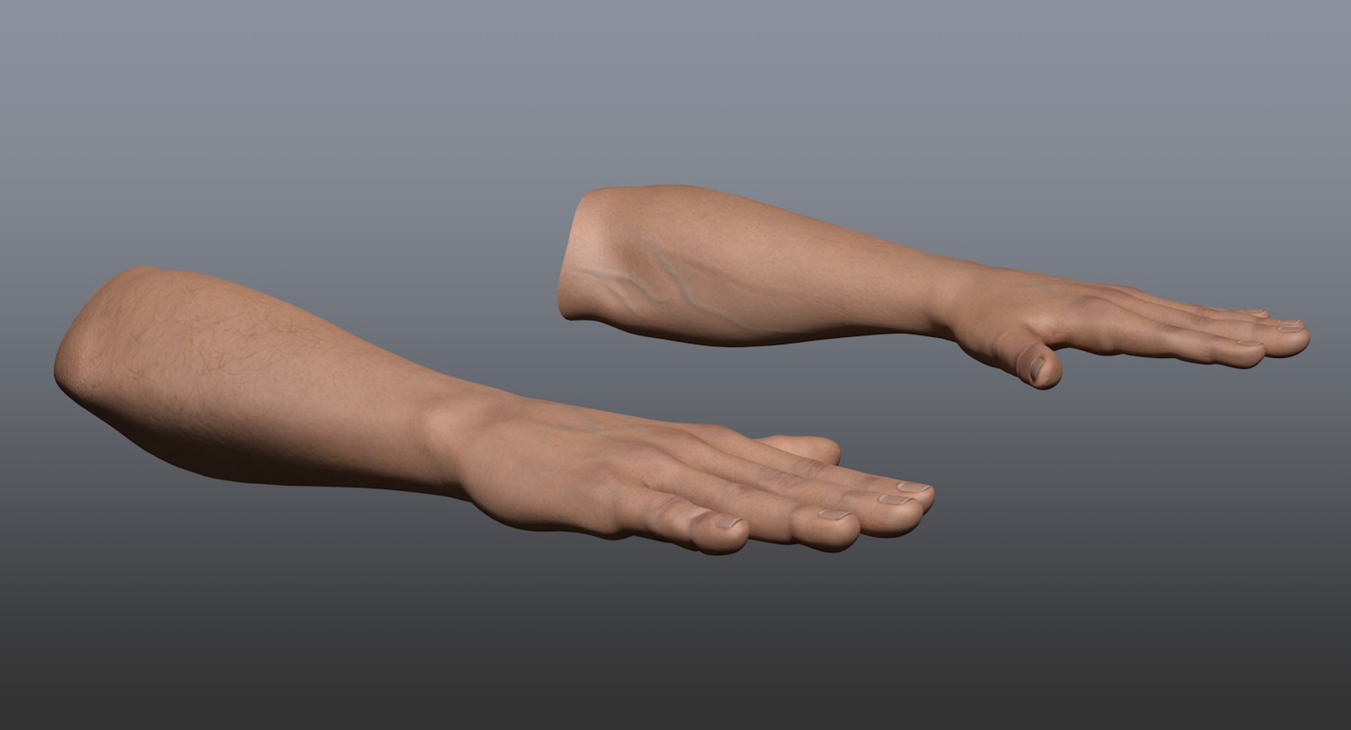 Rigged Human Hands Male 3d C4d