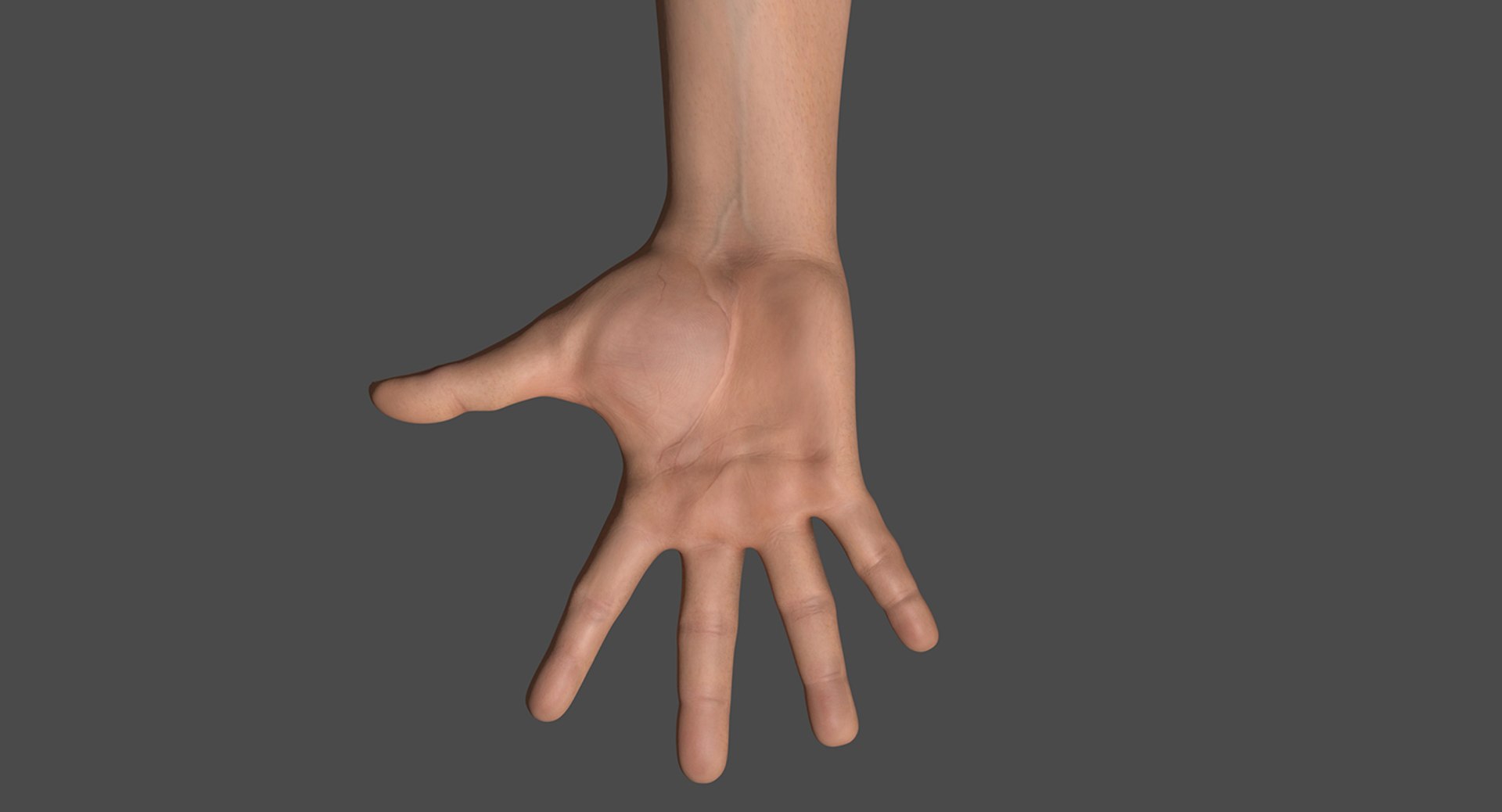Rigged Human Hands Male 3d C4d