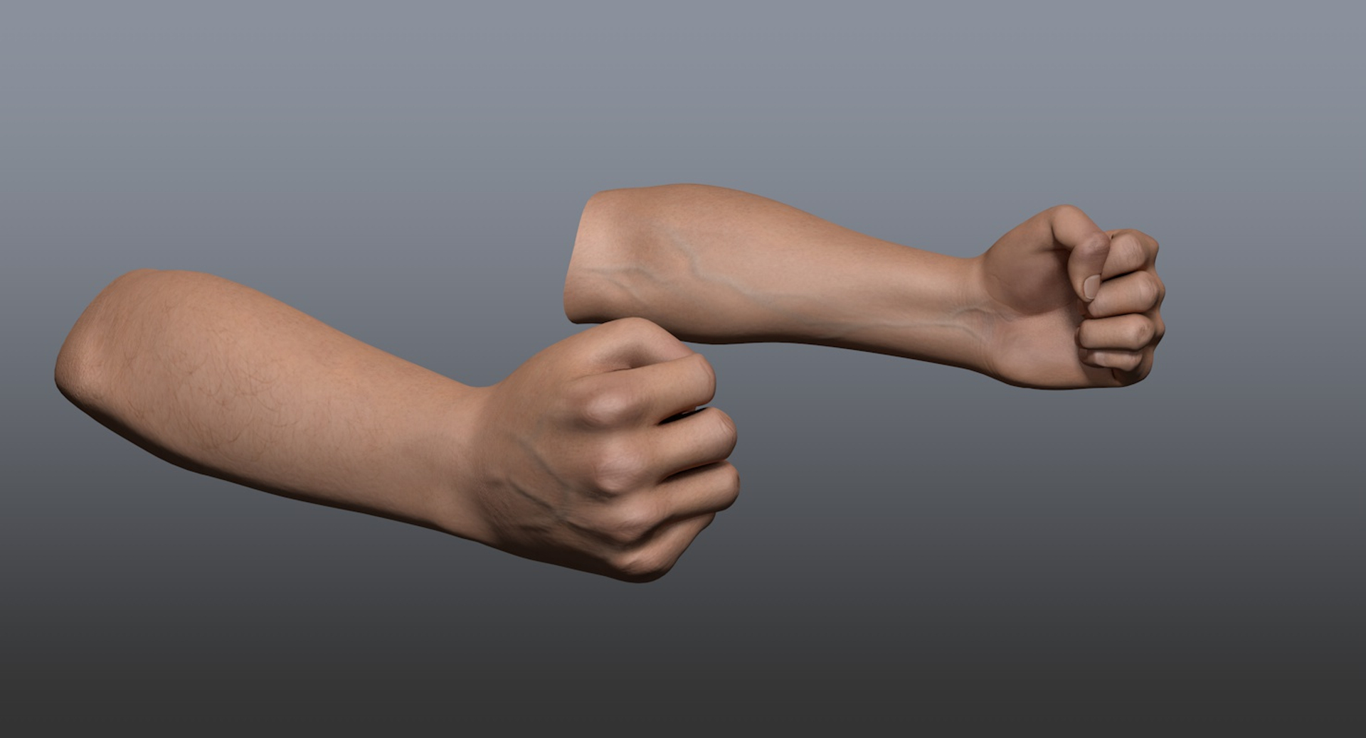 Rigged Human Hands Male 3d C4d