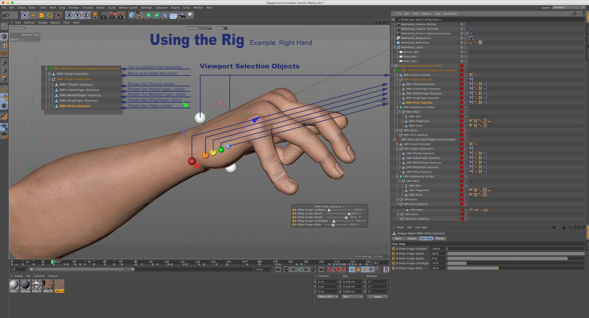 Rigged Human Hands Male 3d C4d