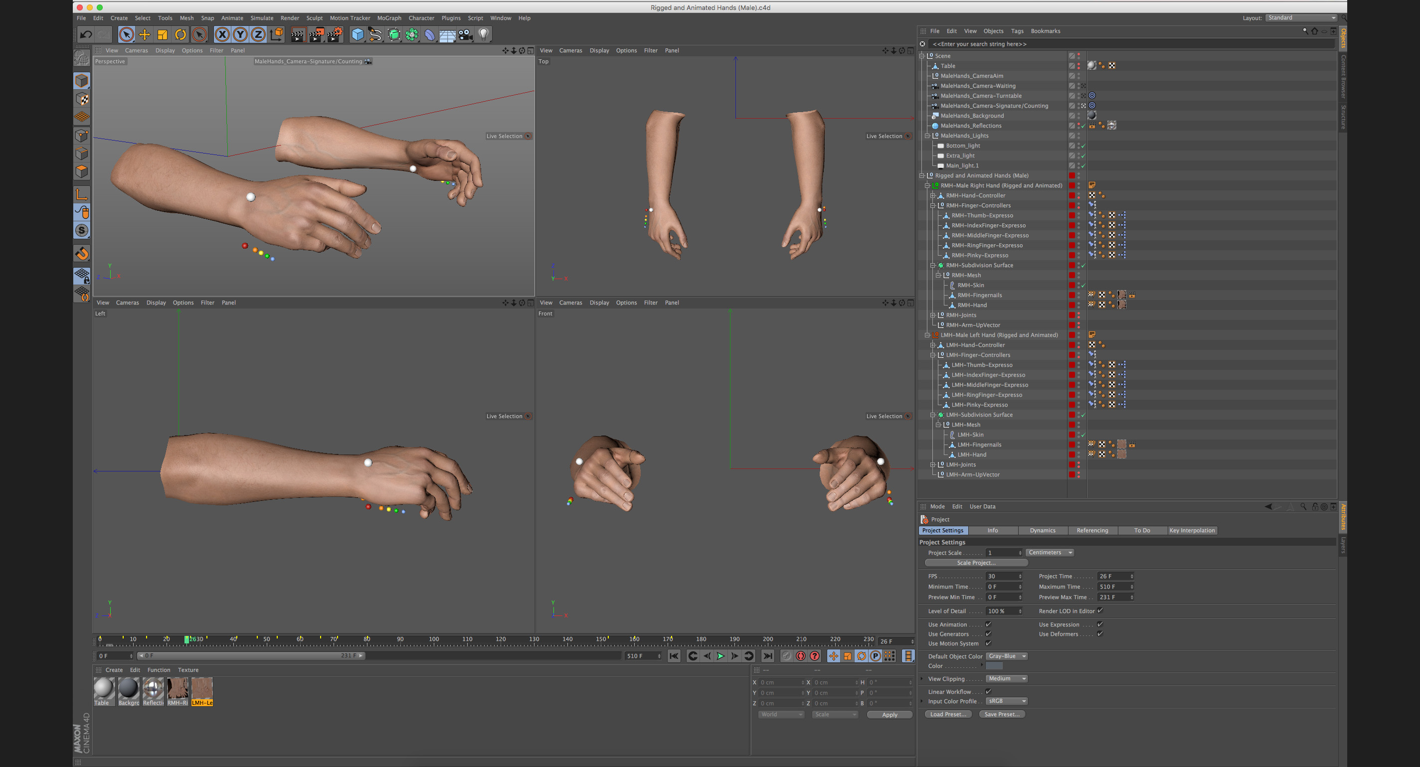 rigged human hands male 3d c4d