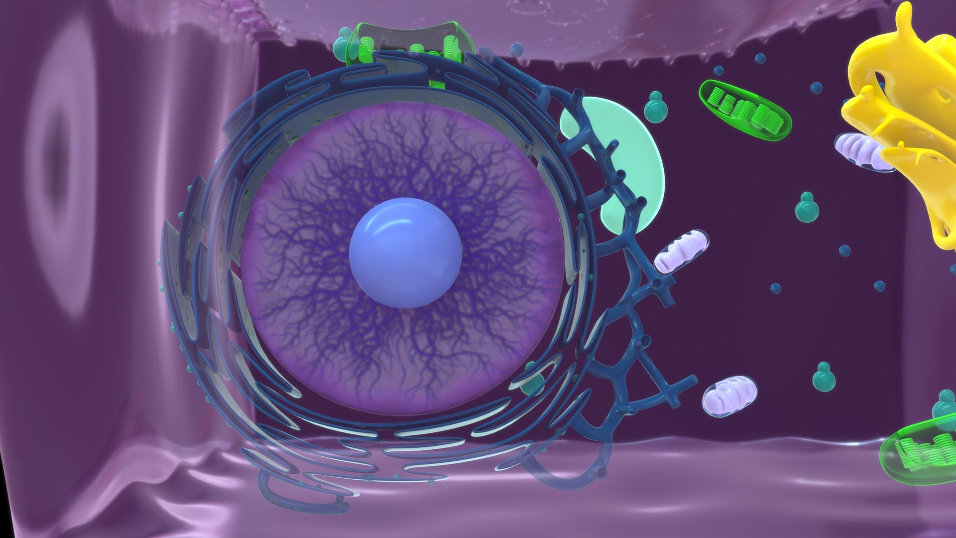 3D Microvilli Cell Model - TurboSquid 2187661